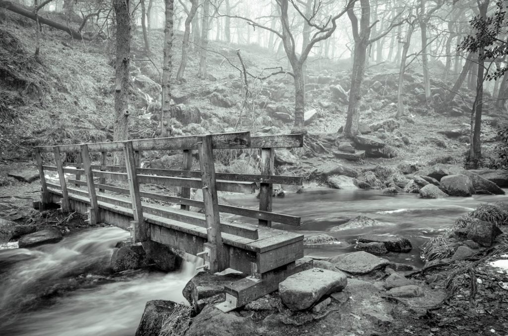 Padley Gorge - Peak District | Wayne Dibble Photography